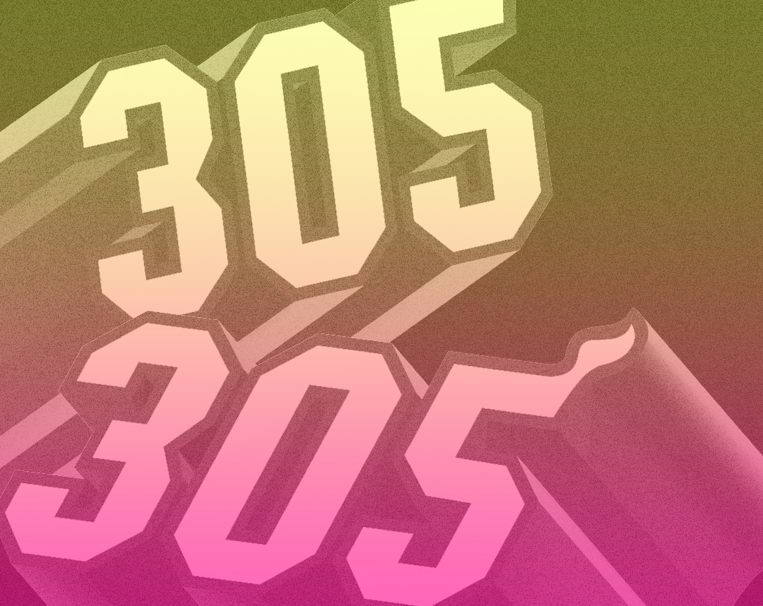 305WIN